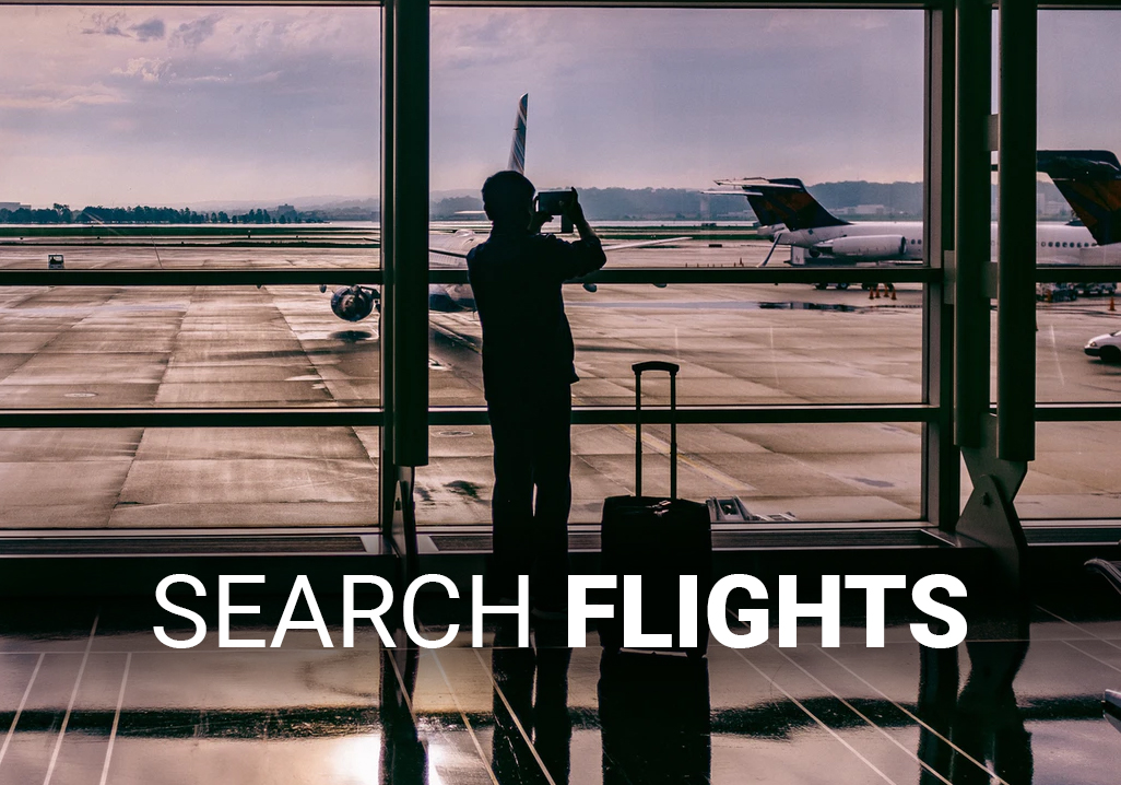 Search Flight